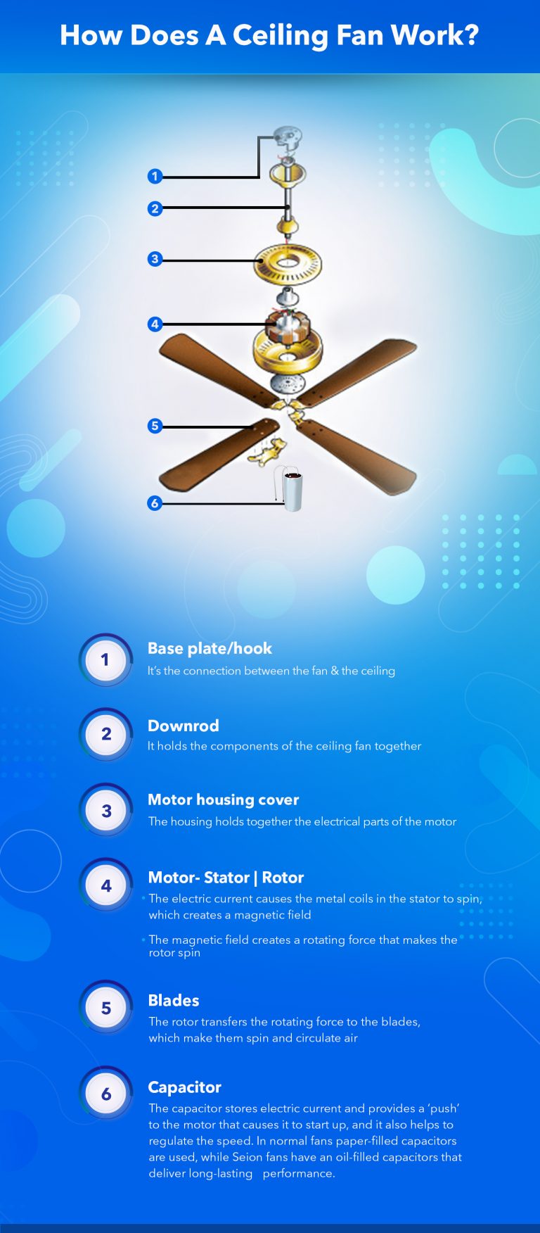 How Does A Ceiling Fan Works - Infographics by Seion Fans